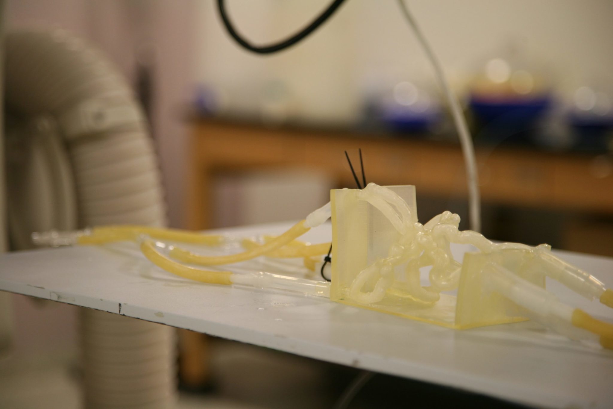 Custom Patient Treatment Becomes a Reality - AET Labs