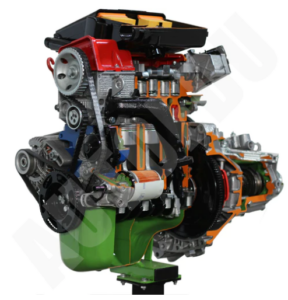 Gasoline Engine Cutaway | New England - AET Labs